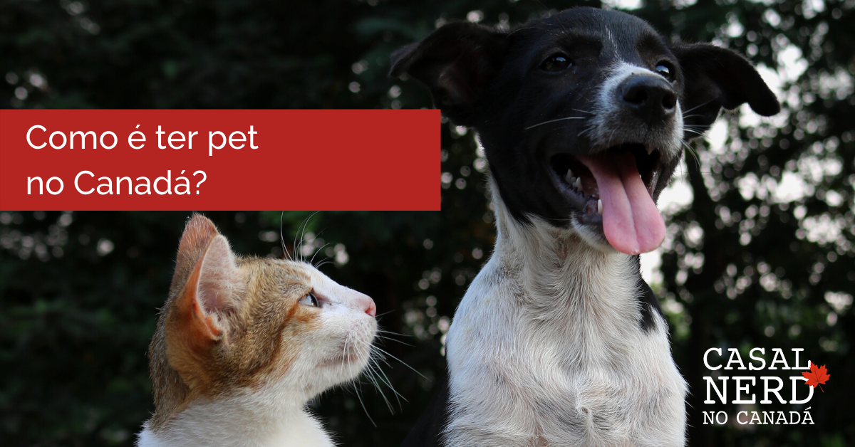 Pet no Canadá: a vida com seu bicho de estimação